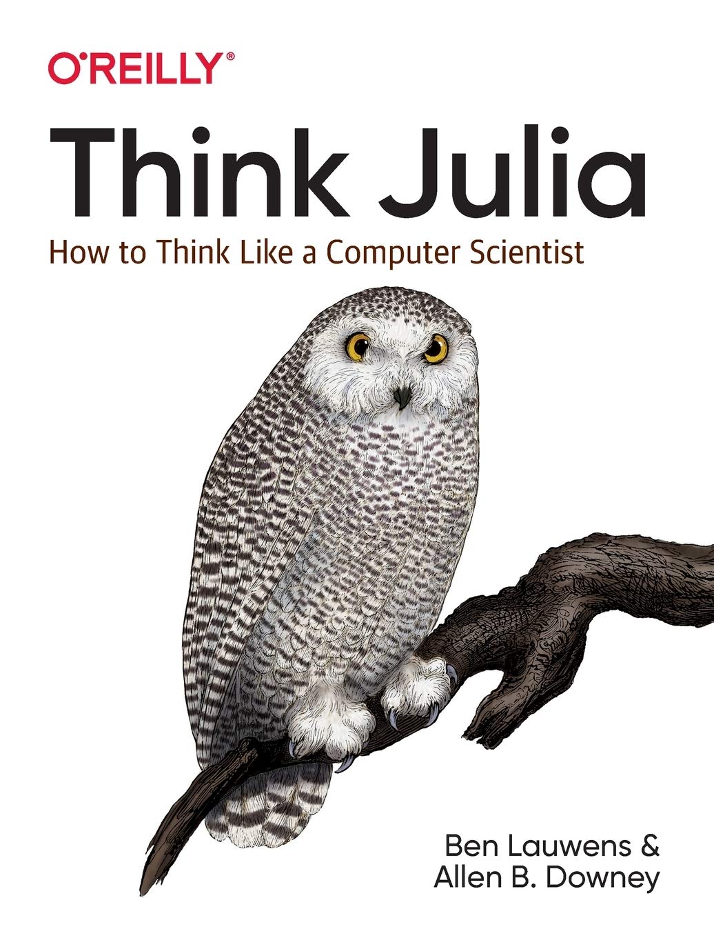 Libros sobre Julia (20ª parte – ¡Hola Julia!) - Analytics Lane